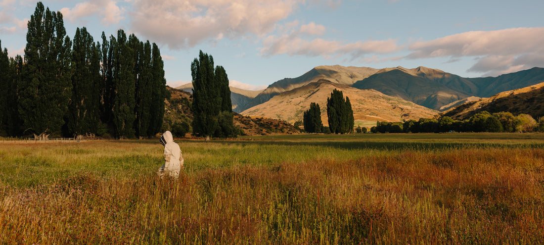 Branch Creek Honey – The Old Schoolhouse NZ
